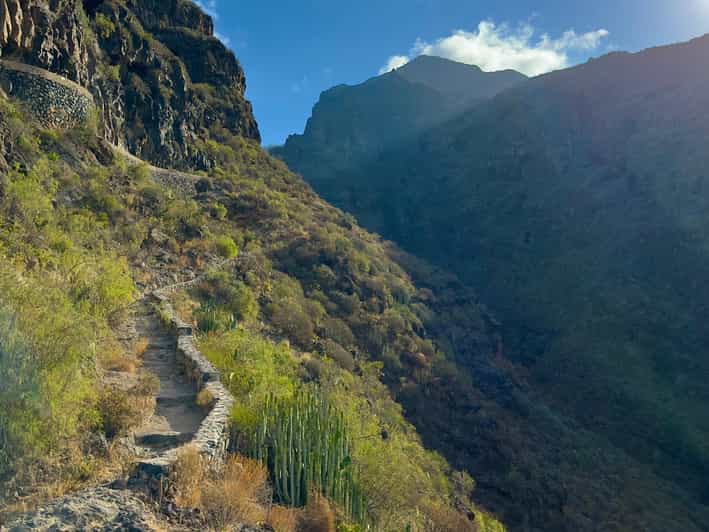Barranco del Infierno, Adeje - Book Tickets & Tours | GetYourGuide