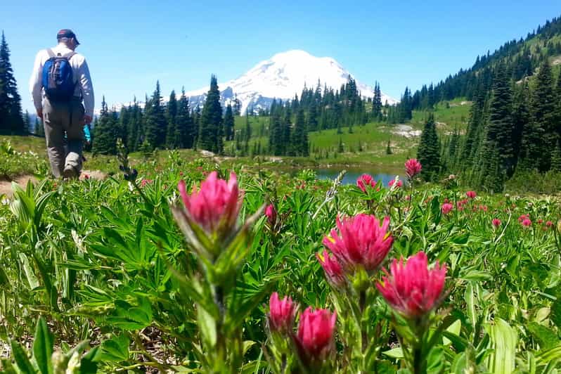 Seattle: Mount Rainier Park All-Inclusive Small Group Tour | GetYourGuide