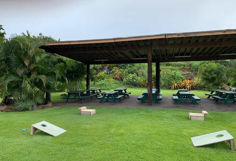 North Shore's best day! River, Turtles, Farm with Lunch | GetYourGuide