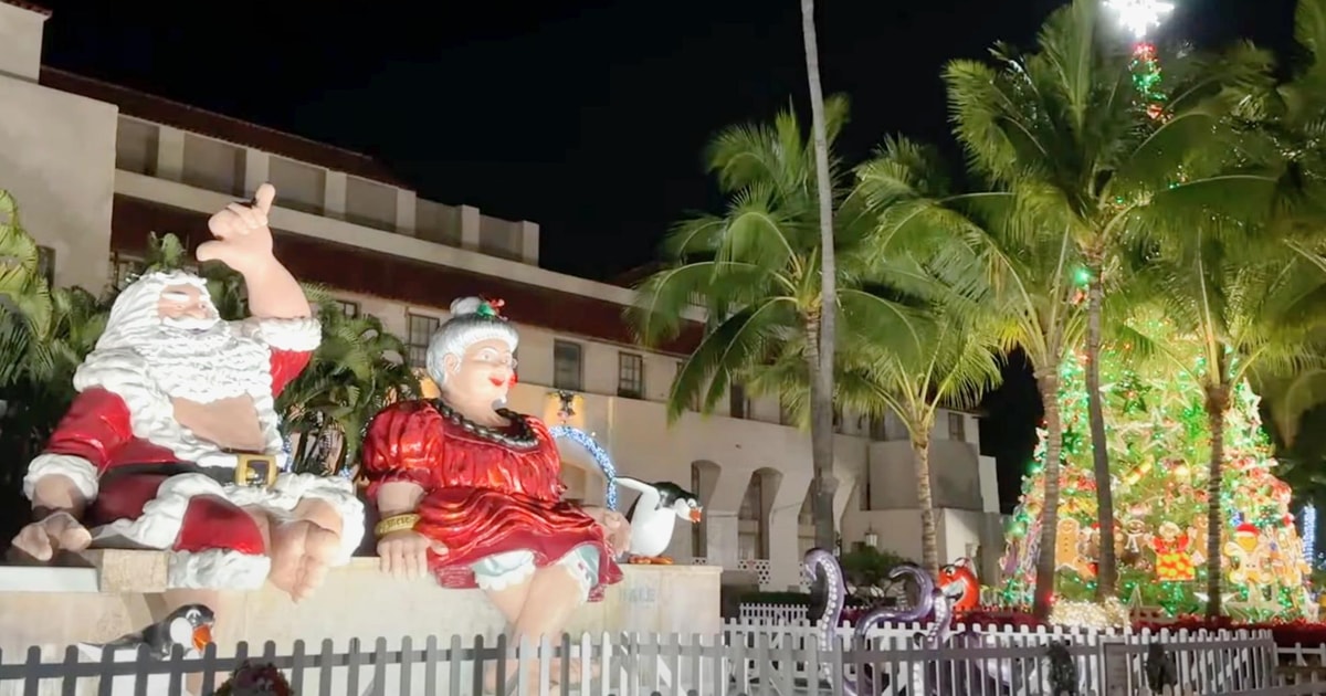 Honolulu: Weihnachtslichter-Trolley-Tour mit Honolulu Hale | GetYourGuide
