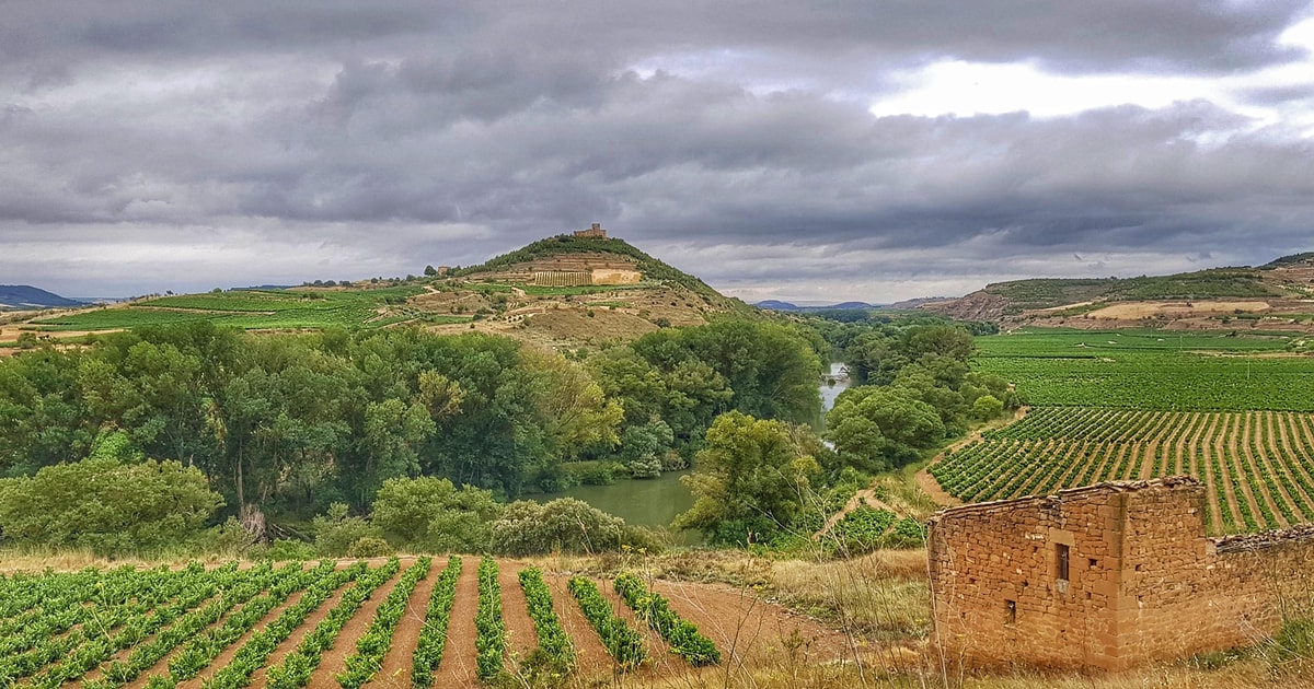 RIOJA: WINE TOUR WITH A WINERY OWNER | GetYourGuide