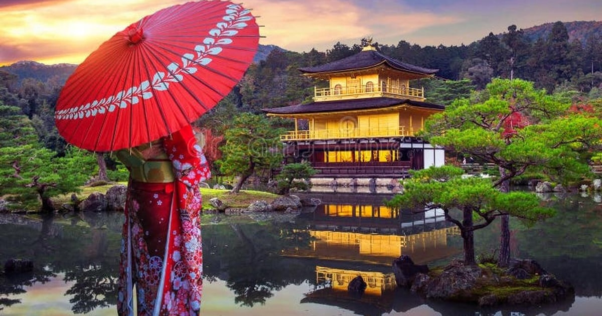 Osaka: Kyoto / Nara Custom Walking Tour in Public Transport | GetYourGuide