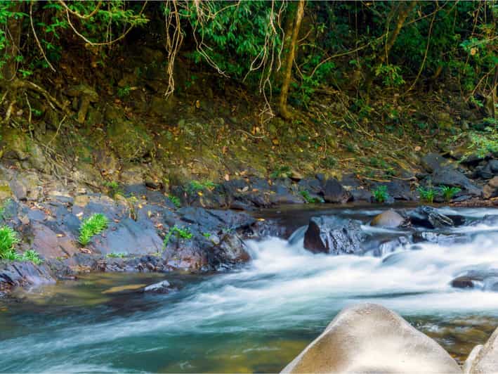 Khlong Sok: Khao Sok Waterfalls and Wildlife Half-Day Trek | GetYourGuide