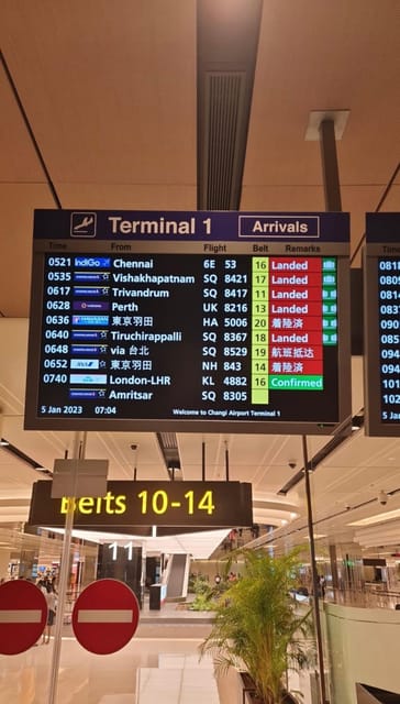 Singapore: Airport Arrival Limousine with VIP Meet & Greet | GetYourGuide