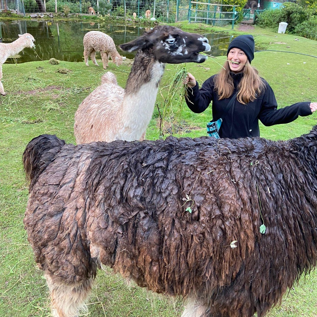 Cusco: Cochahuasi Animal Sanctuary Tour with Rescued Animals | GetYourGuide
