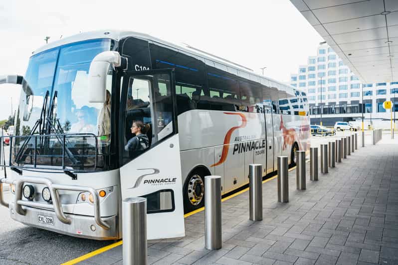 Perth: Pinnacles Desert Sunset and Stargazing with Dinner | GetYourGuide