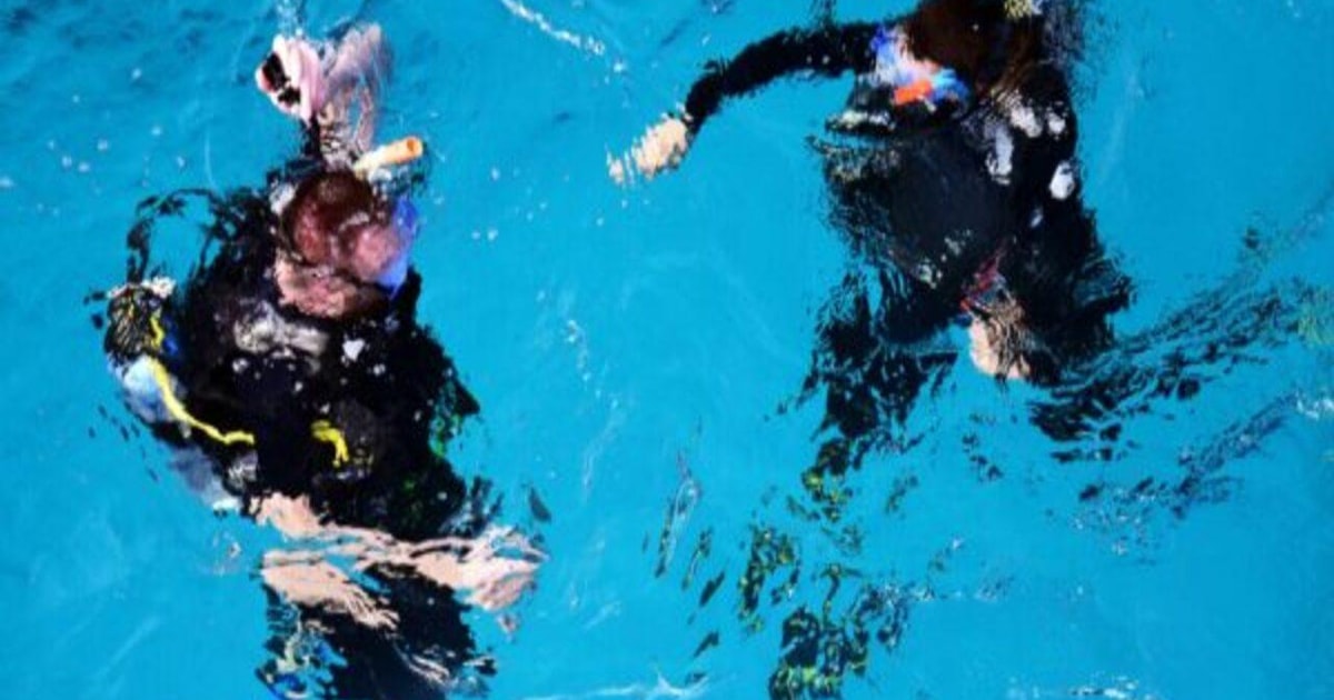 Playa: Descubre el buceo | GetYourGuide