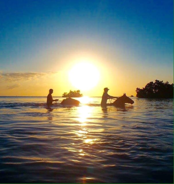 Snorkel with Sea Turtles, Horseback Riding | GetYourGuide