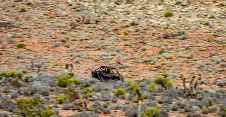 Las Vegas Mojave Desert Adventure - Guided Tour | GetYourGuide