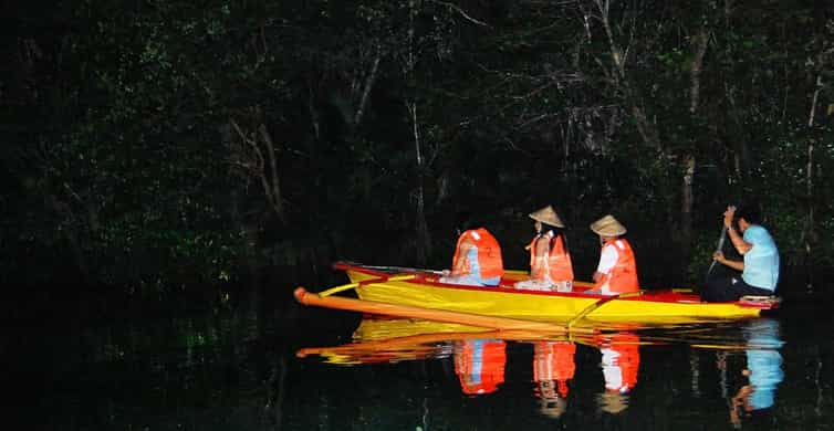 Puerto Princesa Firefly Watching (shared tour) | GetYourGuide