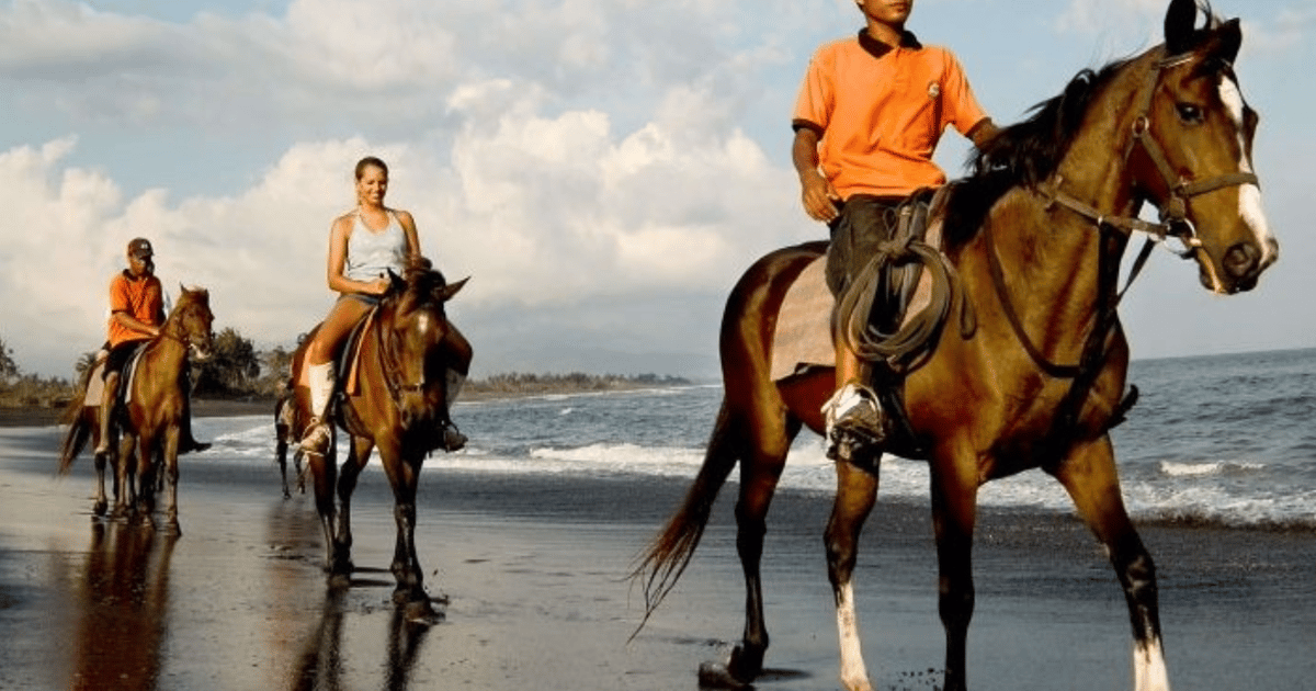 Bali Ubud Horse Riding Experience | GetYourGuide