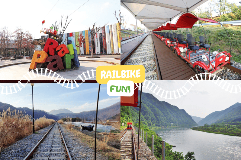 From Seoul: Alpaca Farm with Rail bike/ Luge Racing | GetYourGuide