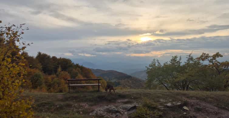 Sarajevo: Via ferrata Bukovik | GetYourGuide
