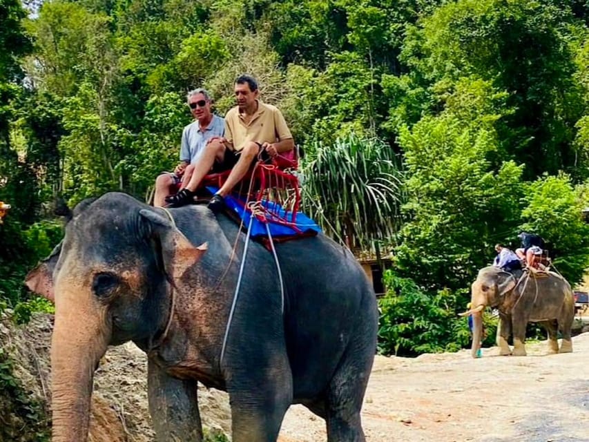 Phuket: Half-Day Guided City Tour,Tiger Elephant And ATV | GetYourGuide