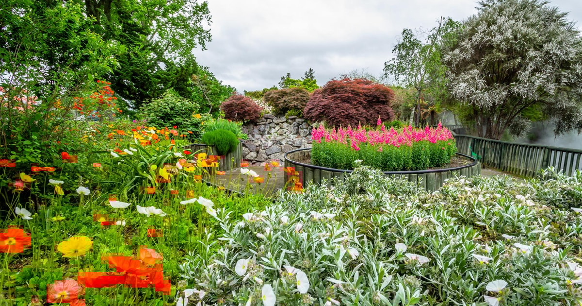 Wandeltour voor het hele gezin door de rijke geschiedenis van Adelaide ...