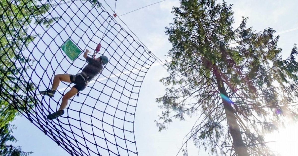 Voss High Rope & Zipline Park | GetYourGuide