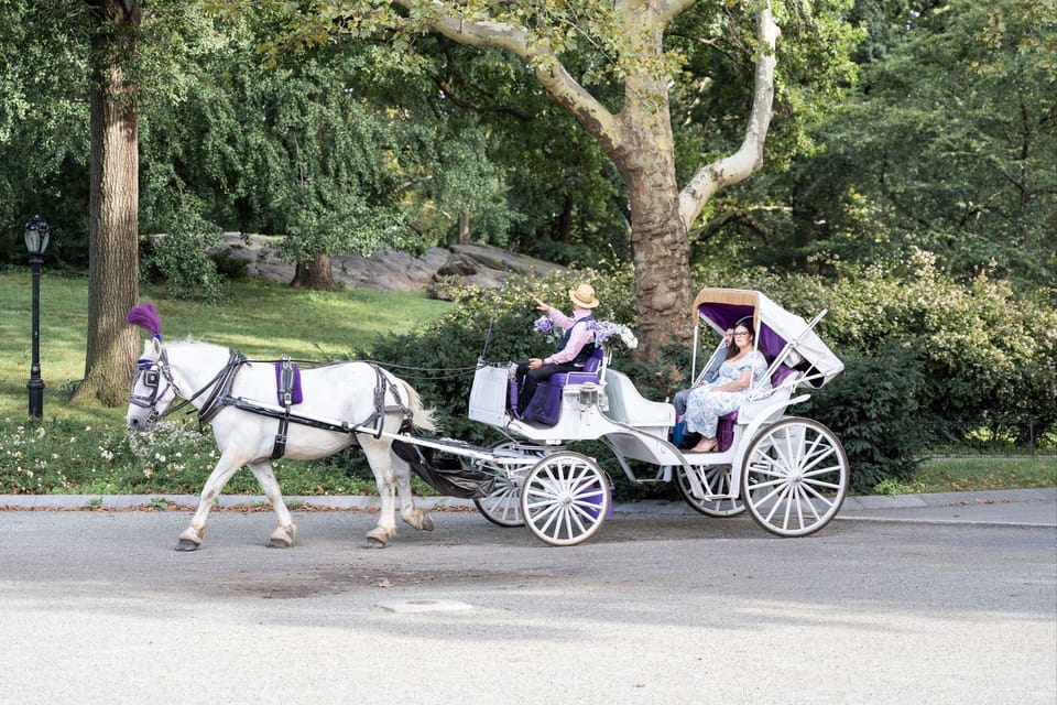 Royal Carriage Ride in Central Park NYC | GetYourGuide