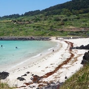 Jeju: Eastern Jeju Highlights Day Tour | GetYourGuide