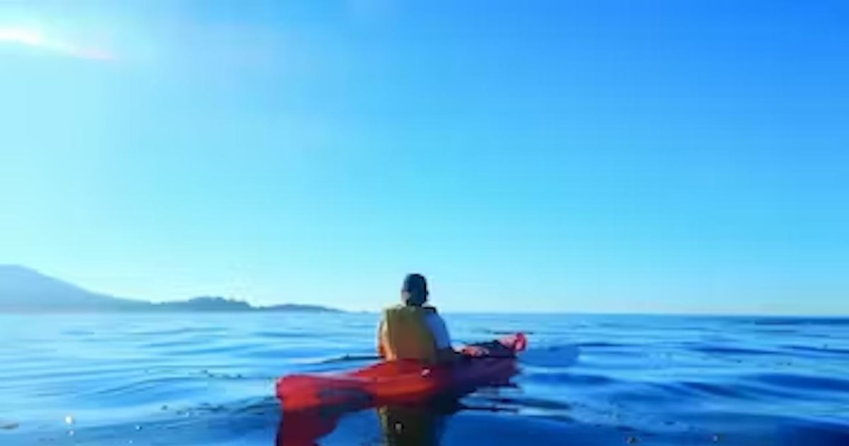 Monterey: Kajak-tur til Pebble Beach | GetYourGuide