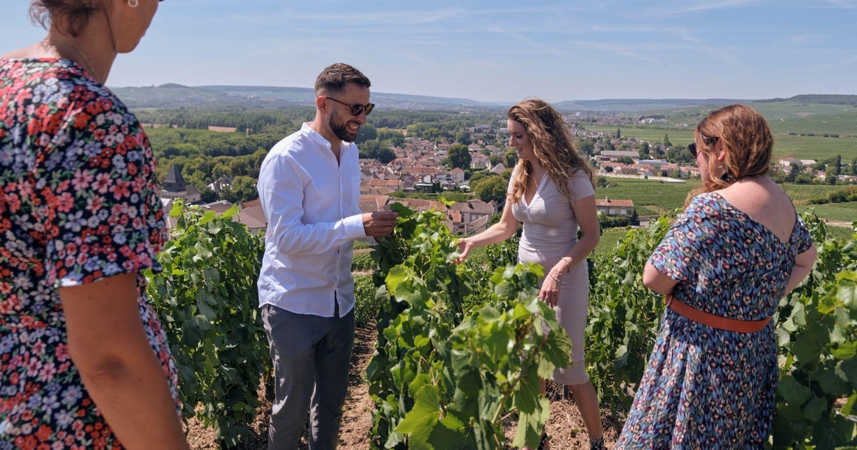 From Reims: Morning Champagne Tour and Tastings | GetYourGuide