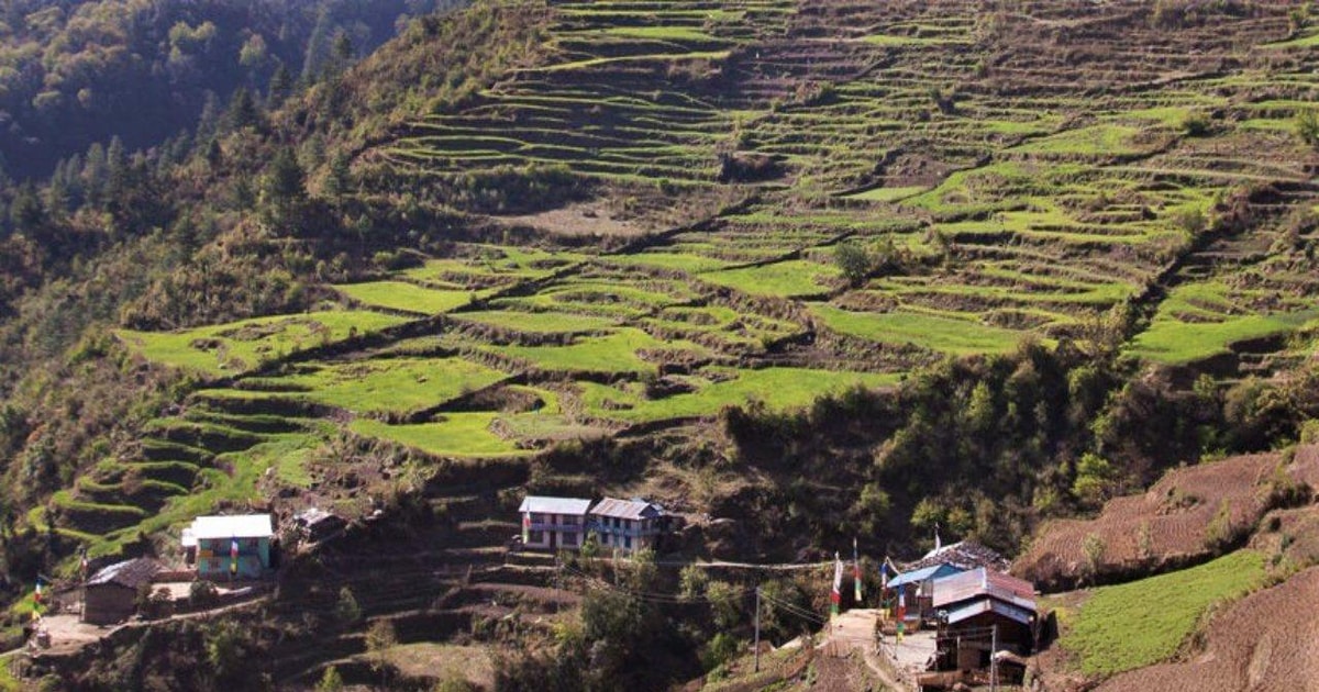 De la Kathmandu : 15 zile Langtang gosaikunda Private Trek | GetYourGuide