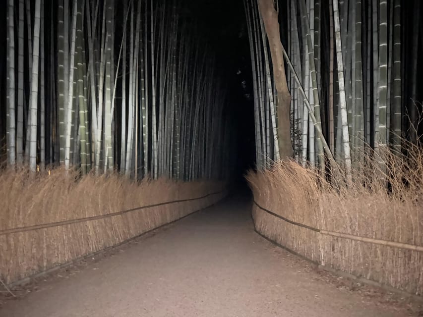 ¡Caza de fantasmas en el bosque de bambú - Noche de Kioto Arashiyama ...