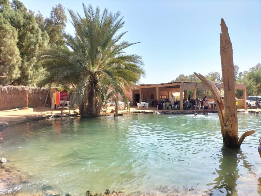 Ksar Ghilan (Oase) Ein-Tages-Tour: Ab Djerba | GetYourGuide