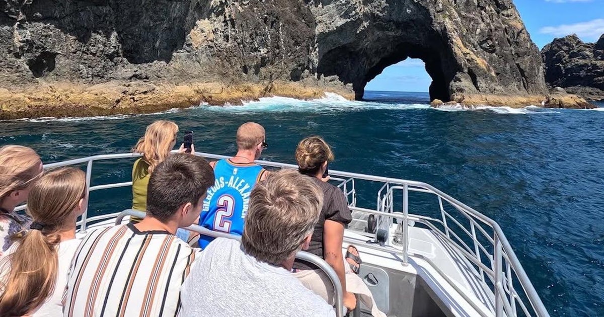 From Paihia: Scenic Cruise with Roberton Island Stopover | GetYourGuide