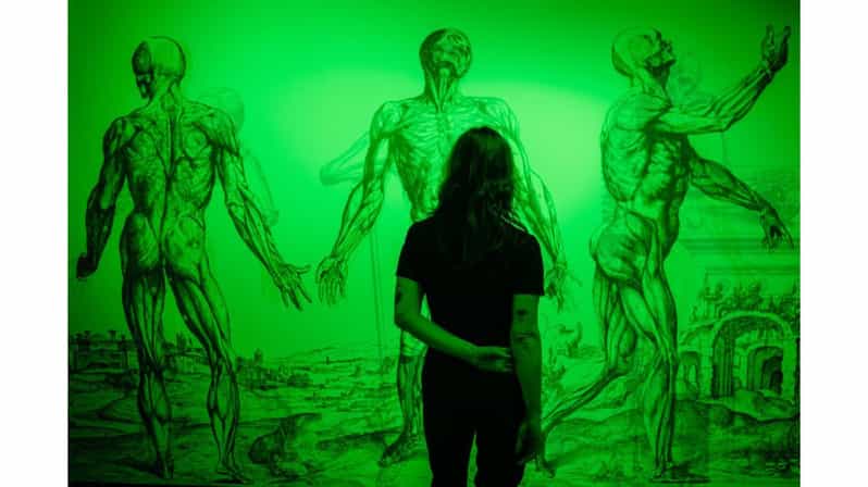 San Antonio: Hopscotch Immersive Art Experience Ticket | GetYourGuide