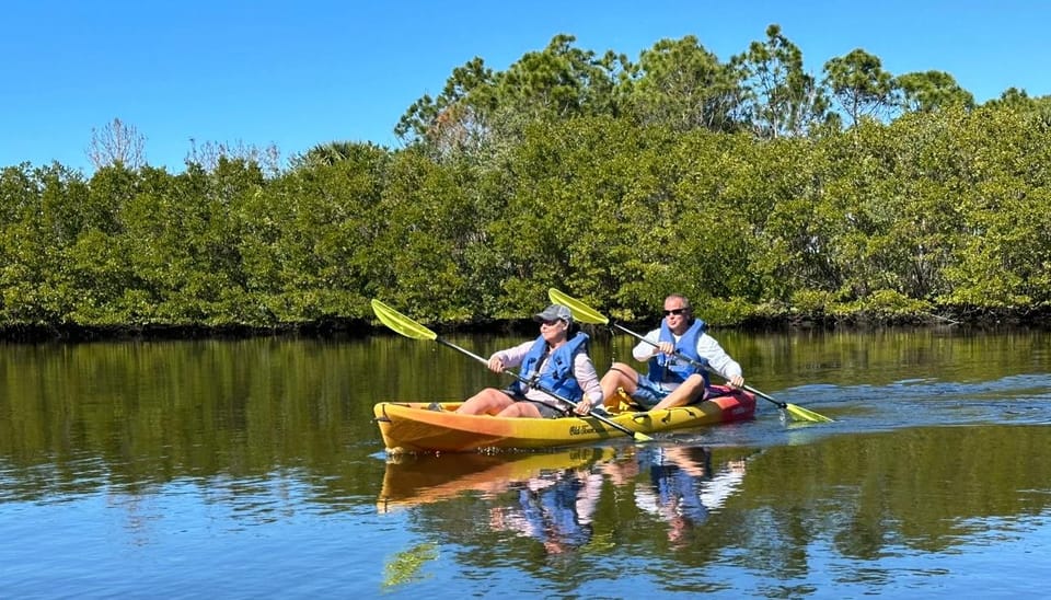 Robinson Preserve Mangrove Tour | GetYourGuide