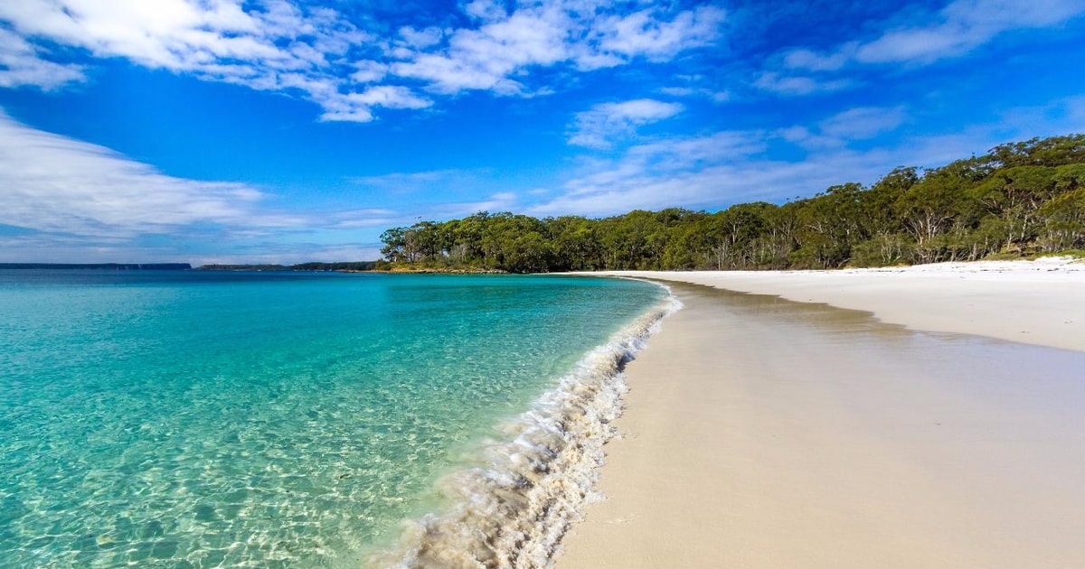 From Sydney: Port Stephens Day Trip | GetYourGuide