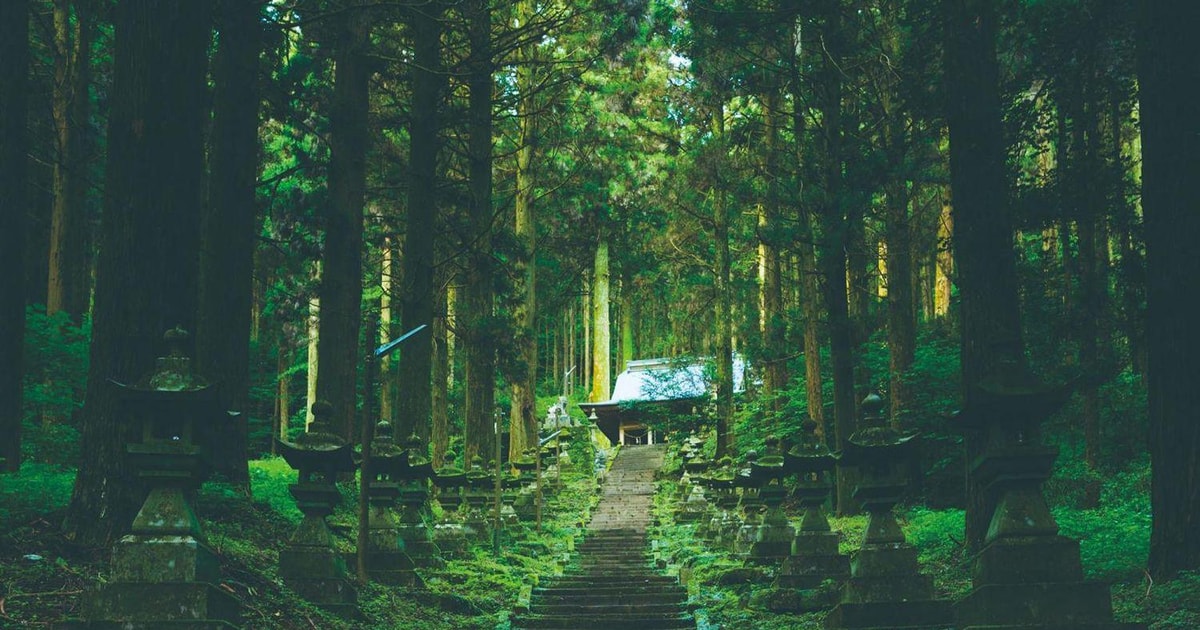 Kiusiu: jednodniowa wycieczka do świątyni Shimo-Semenomikoto i wąwozu ...