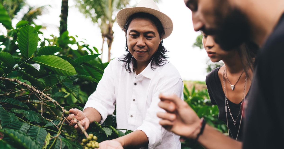 Bogotá: Visit to a Coffee Farm with lunch included | GetYourGuide