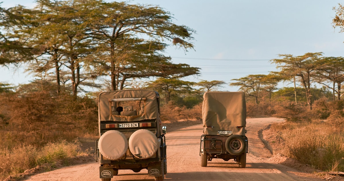 3 days Selous trip (Drive-in) | GetYourGuide