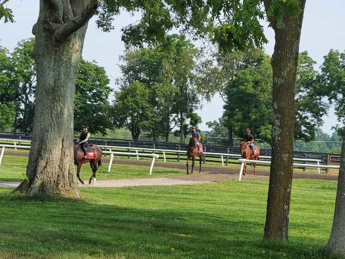 From Lexington: Kentucky Horse Farms Tour | GetYourGuide