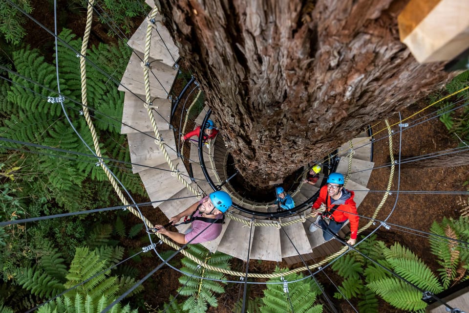 Rotorua: Redwoods Altitude High Ropes Adventure | GetYourGuide