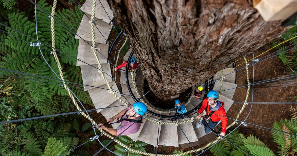 Rotorua: Redwoods Altitude High Ropes Adventure | GetYourGuide