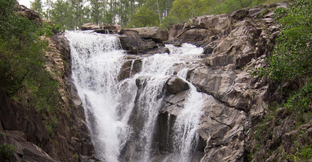 Belize: Mountain Pine Ridge Tour with Waterfalls | GetYourGuide