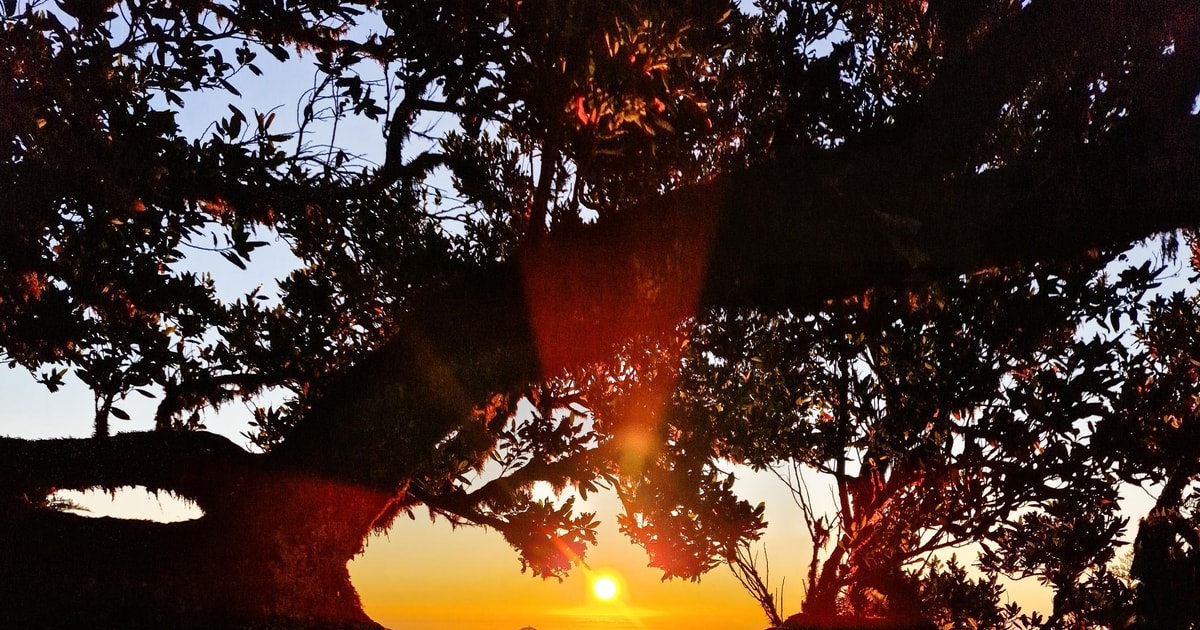 Hike in Fanal in a different way | GetYourGuide