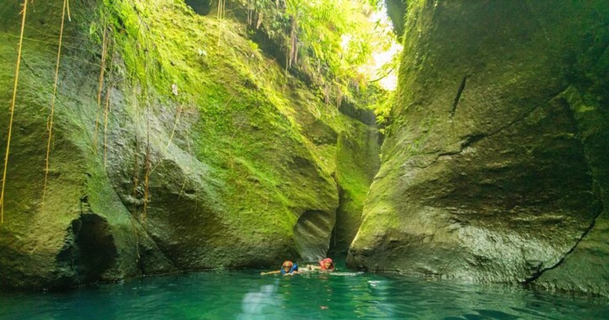 Dominica: Titou Gorge and Hot Springs Tour with Transfer | GetYourGuide