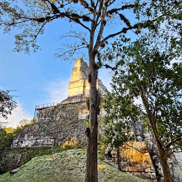 Flores: 1-Day Tikal Tour Private Service From your Hotel | GetYourGuide