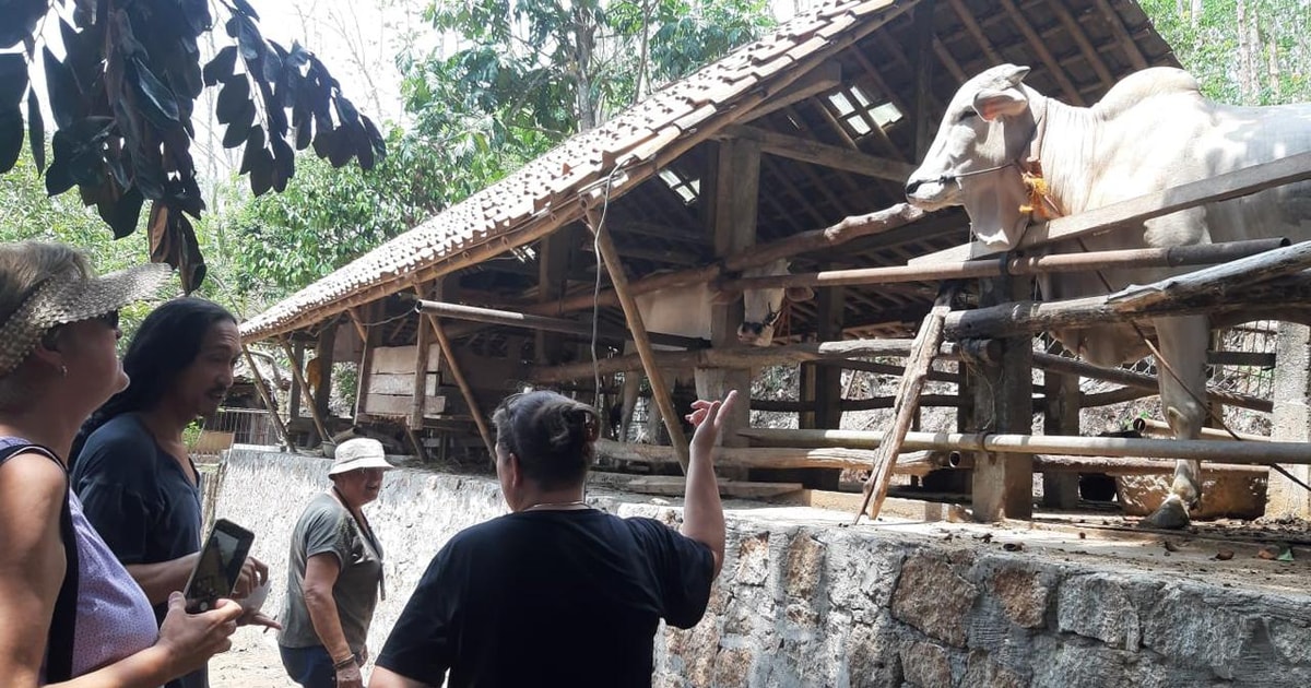 Classes & Workshops In Yogyakarta Tour 5d4n | GetYourGuide