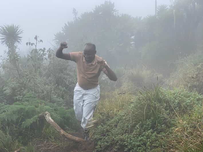 Excursión de Aventura de 1 Día por el Monte Bisoke, Parque Nacional de ...