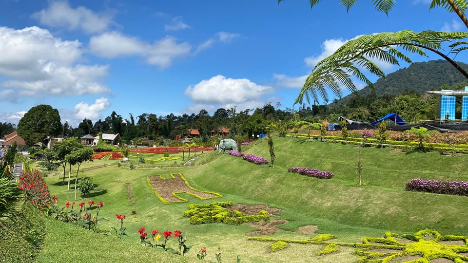 Bloom Garden Tour | GetYourGuide