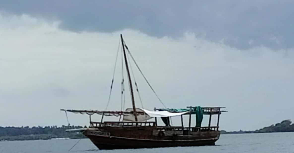 Rent a Dhow for Snorkeling & Dolphin Watching & Wasini Visit | GetYourGuide