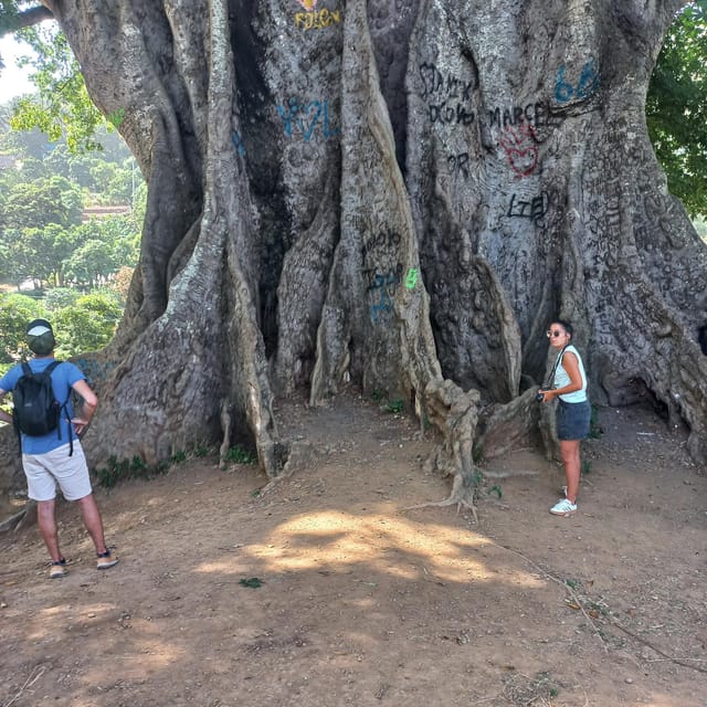 Assomada City tour | GetYourGuide