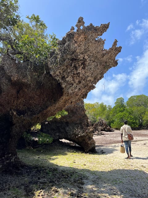 Diani: Tour the African pool map in Tiwi area | GetYourGuide