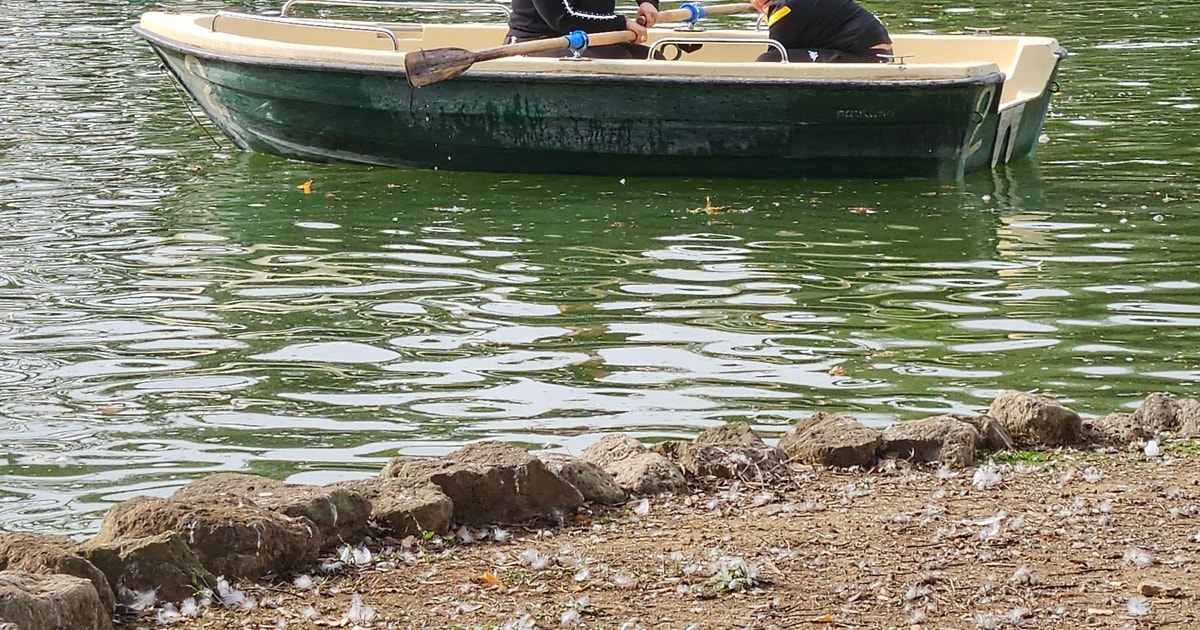 Rome: Villa Borghese Lake Rowing Boat Tour + Photo Shoot | GetYourGuide