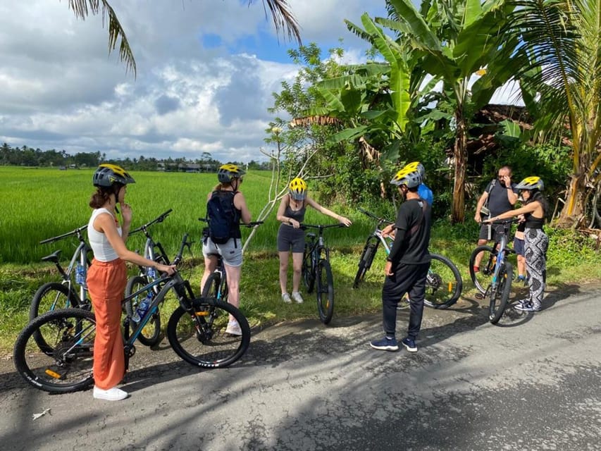 Ubud: Downhill Cycling with Volcano, Rice Terraces and Meal | GetYourGuide