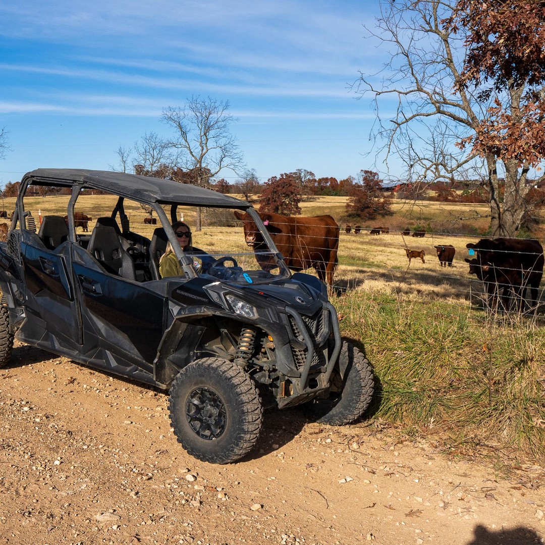 Branson: Off-Road Adventure Guided Trip | GetYourGuide